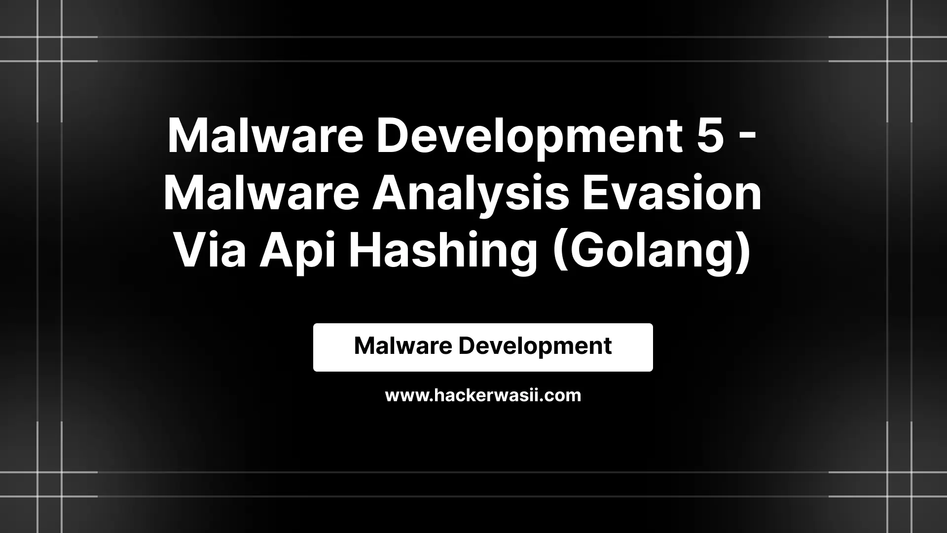 Malware Development 5 - Malware analysis evasion via Api Hashing (Golang) — Waseem Akram